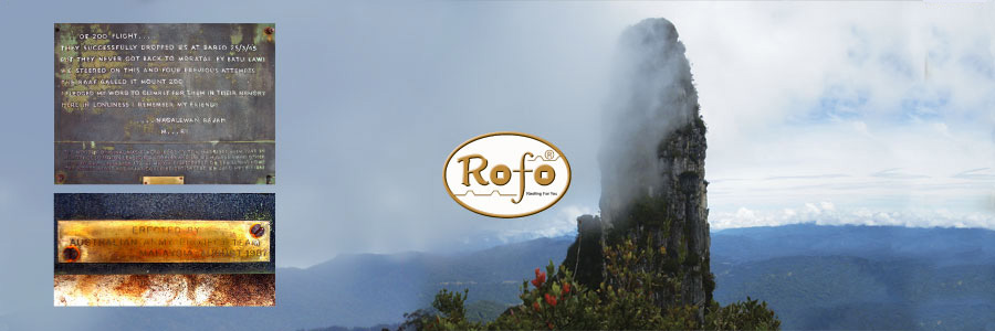 Rofo - Roofing For You